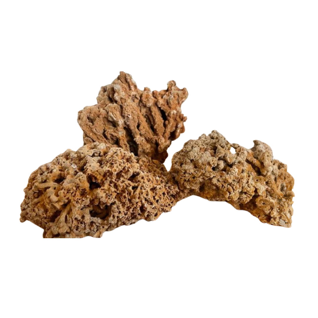 Red Spaghetti Rock – TerraSource Wholesale LLC